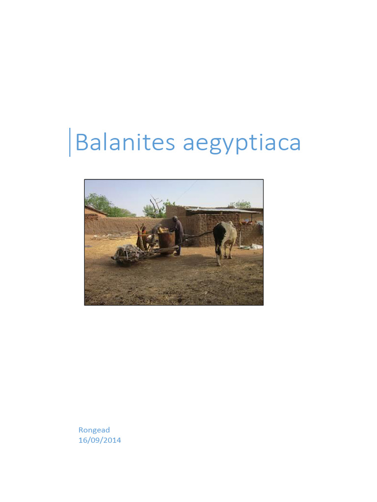 Balanites Aegyptiaca 16.09 | PDF | Bois | Arbres