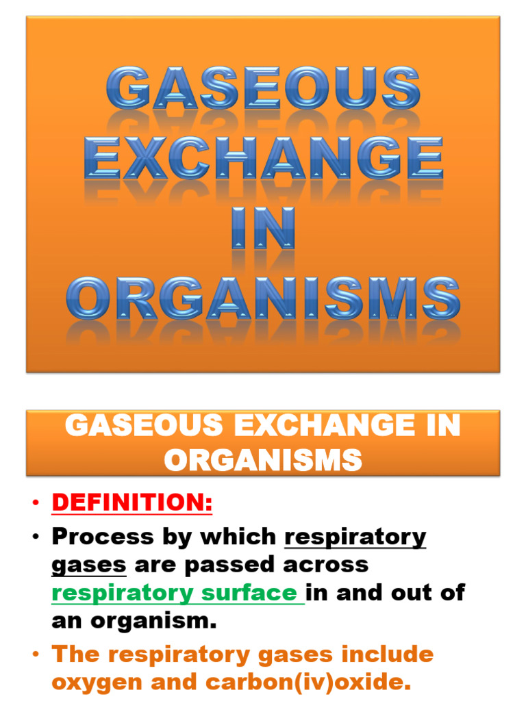 Biology Crystal Super Notes f2 Gaseous Exchange in Plants - Power Point ...