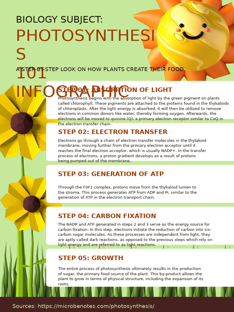 Biology Subject Photosynthesis 101 Infographic | PDF | Photosynthesis ...