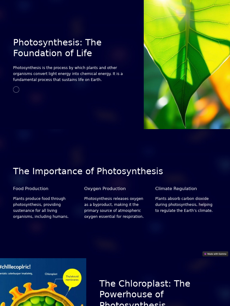 Photosynthesis The Foundation of Life | PDF | Photosynthesis | Metabolism