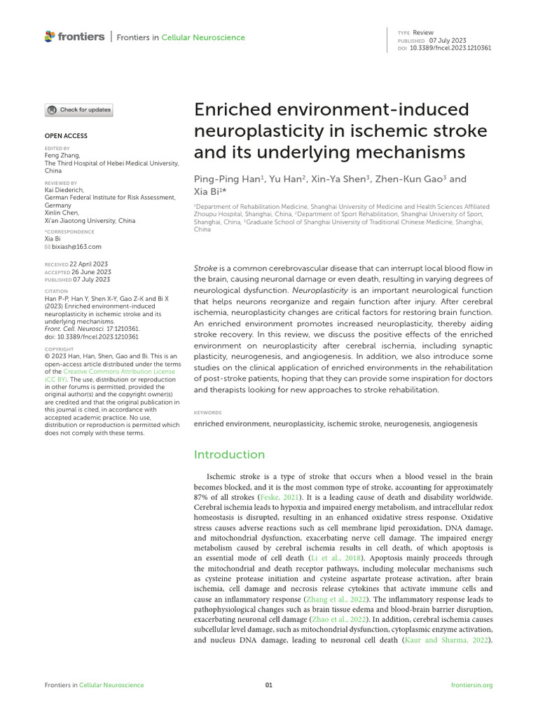 Enriched Environment-Induced N | PDF | Synapse | Neuron