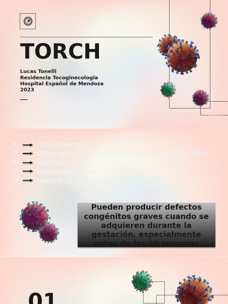 Torch | PDF | Salud pública | Enfermedades y trastornos