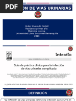 GPC Ivu | PDF | Infección del tracto urinario | Cuidado de la salud