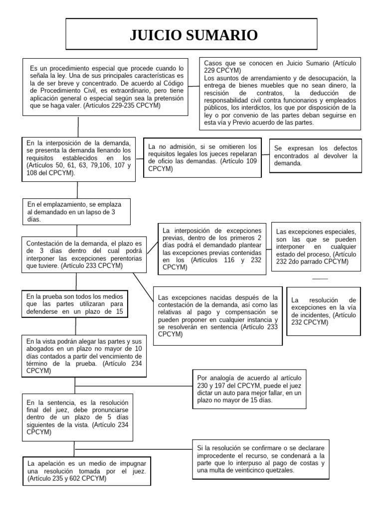 Esquema Juicio Sumario | PDF | Demanda judicial | Judicaturas