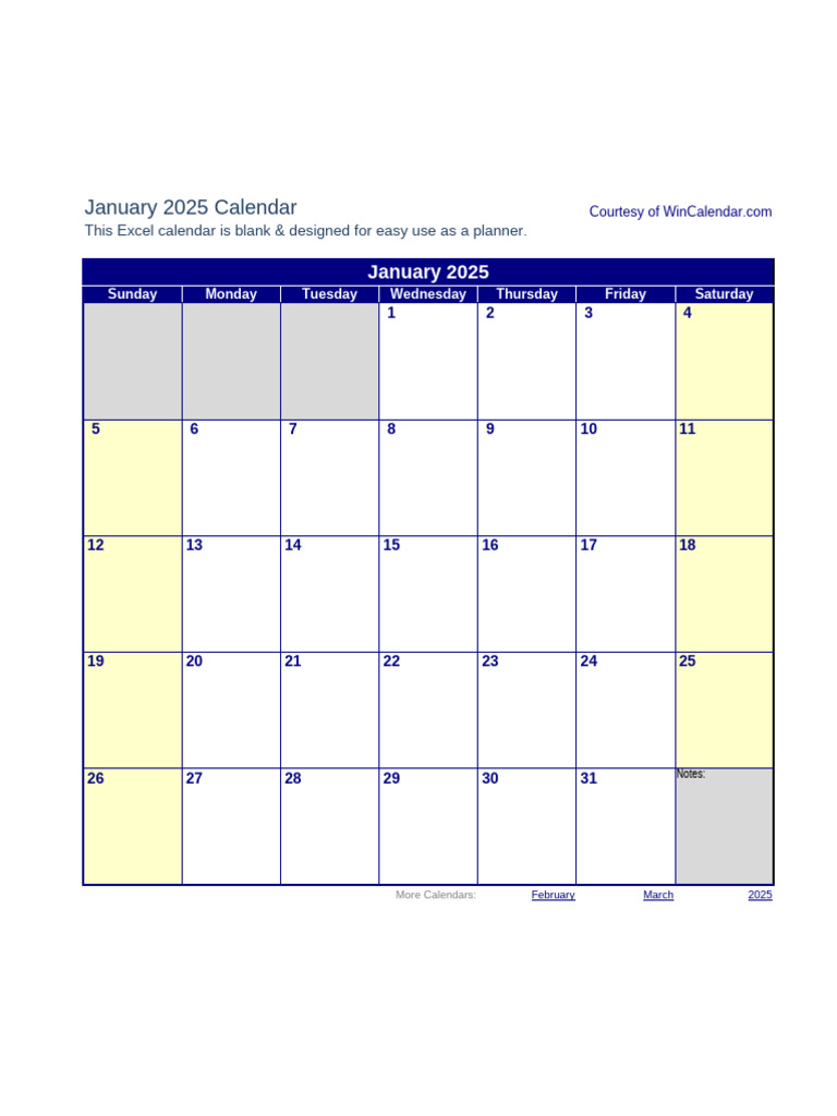 Blank January 2025 Excel Calendar | PDF
