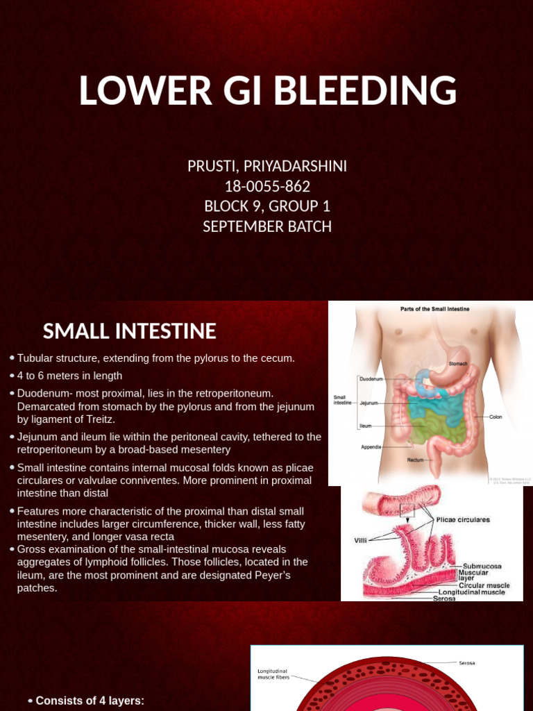 Lgib - Prusti, Priyadarshini (18-0055-862) | PDF | Large Intestine ...