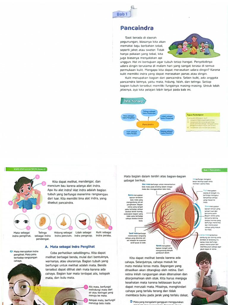 Materi IPAS Panca Indra | PDF