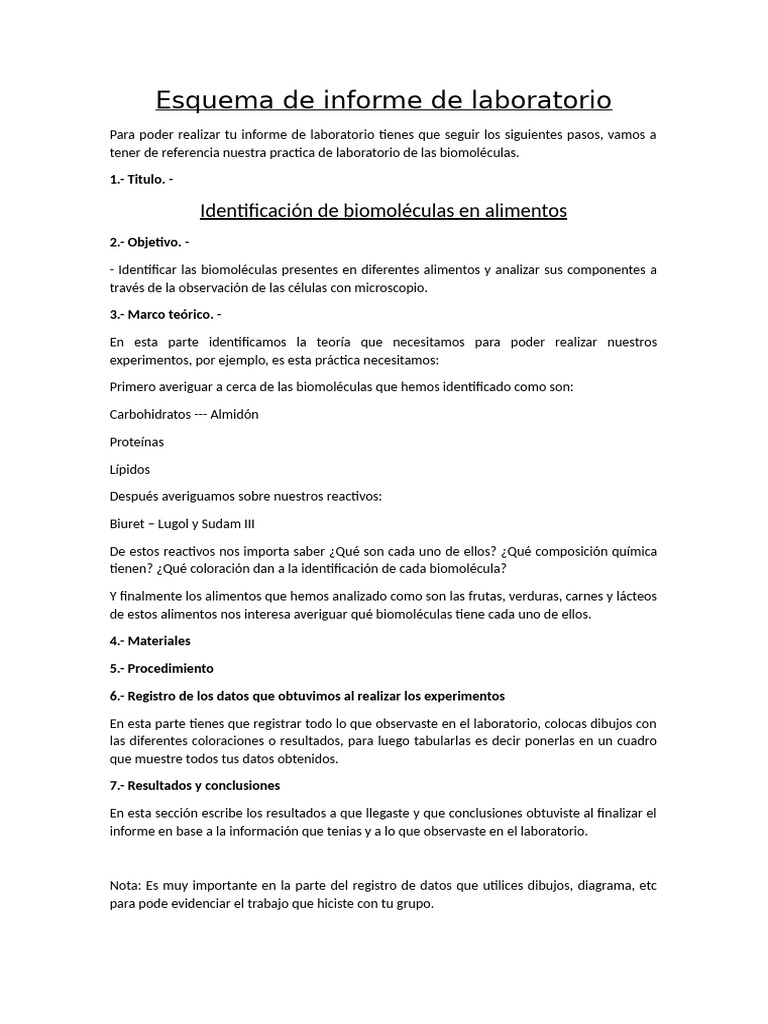 Esquema De Informe De Laboratorio Pdf