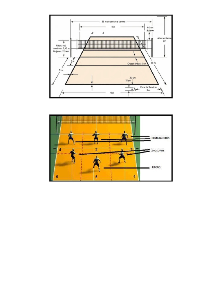 Cancha Voley Medidas Y Jugadores Pdf