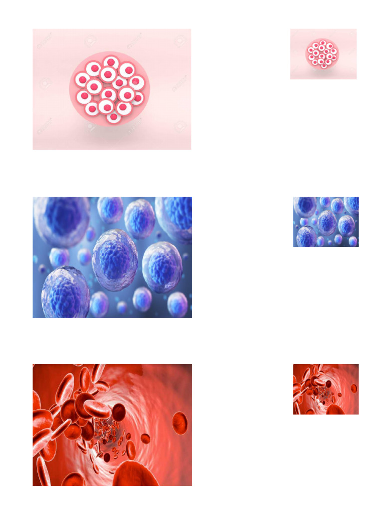 Tipos de Celula | PDF