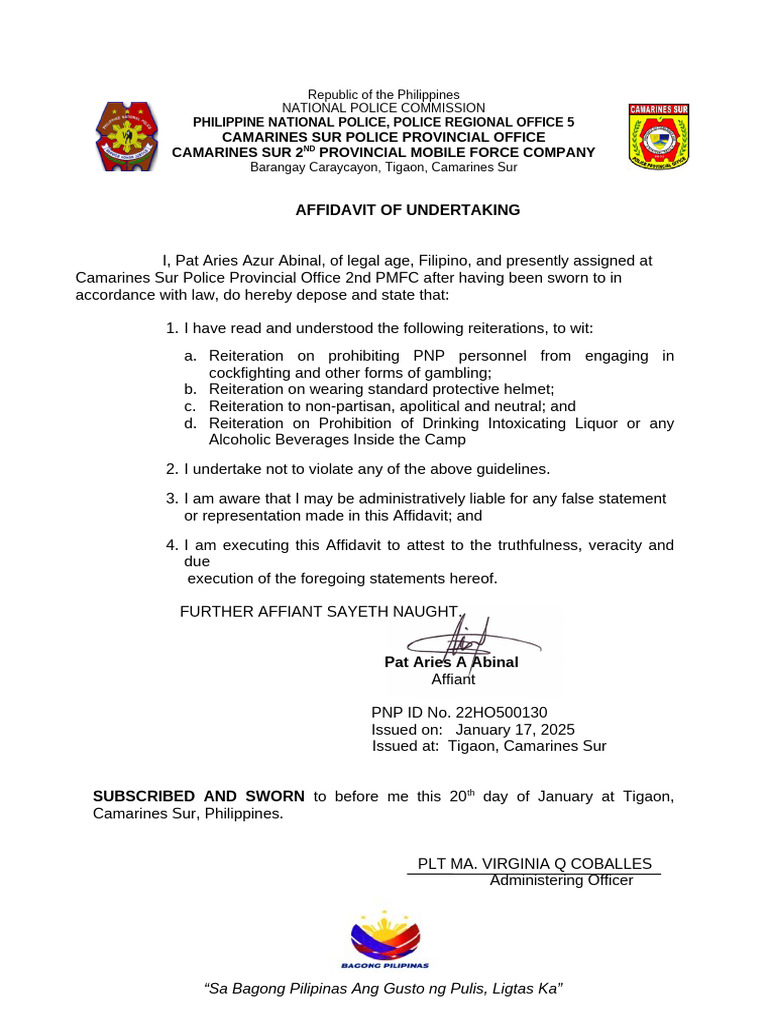 Affidavit of Undertaking | PDF