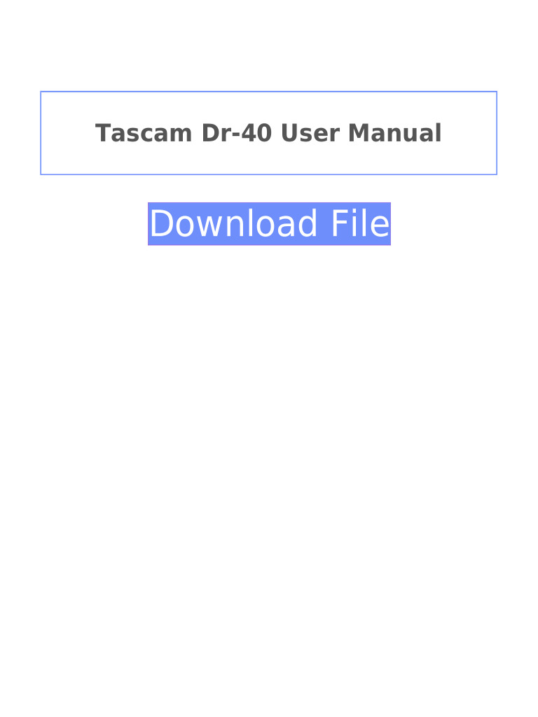 Tascam DR-40 User Manual | PDF