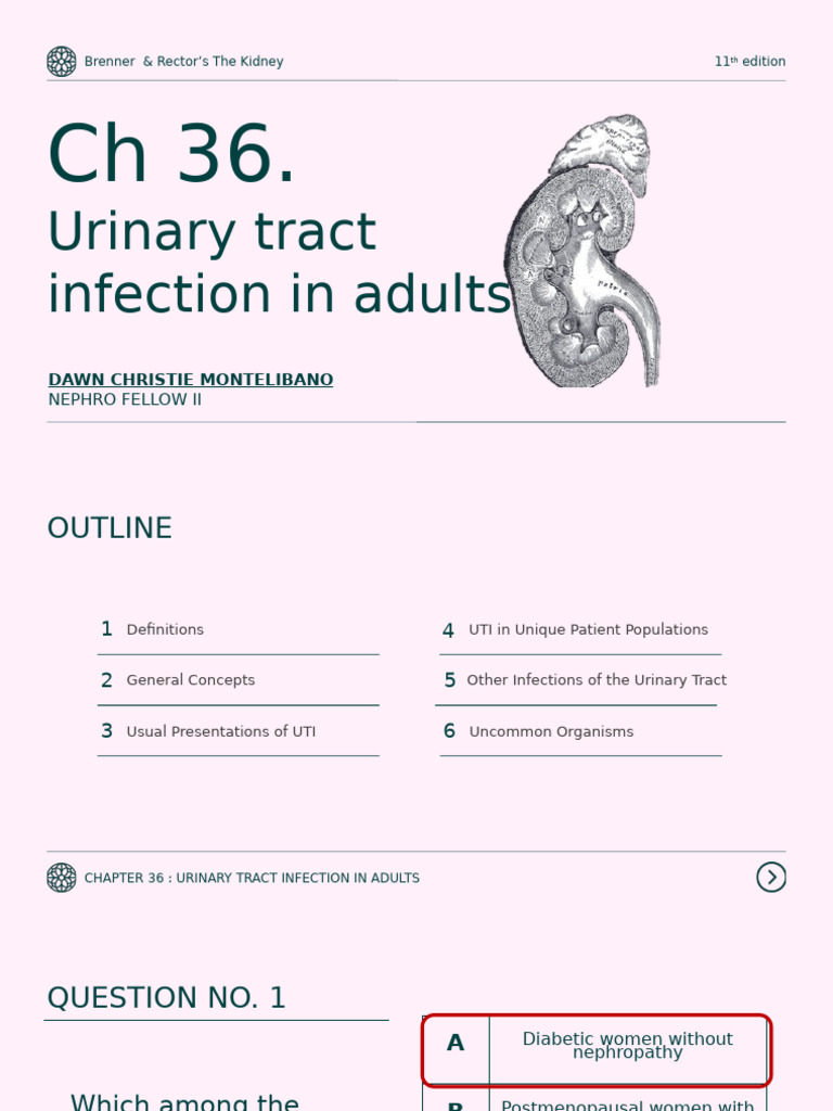 CH 36 Urinary Tract Infection in Adults (Final) | PDF | Urinary Tract ...