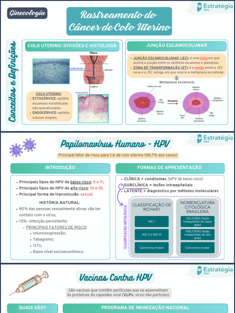 Mapa Mental - Rastreamento Do Câncer de Colo Uterino | PDF | Câncer ...