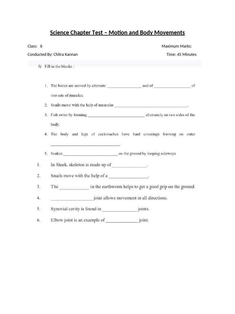 Motion and Body Movements Test | PDF