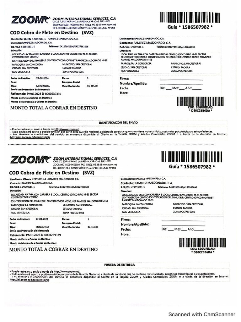 Guía Zoom 27 | PDF