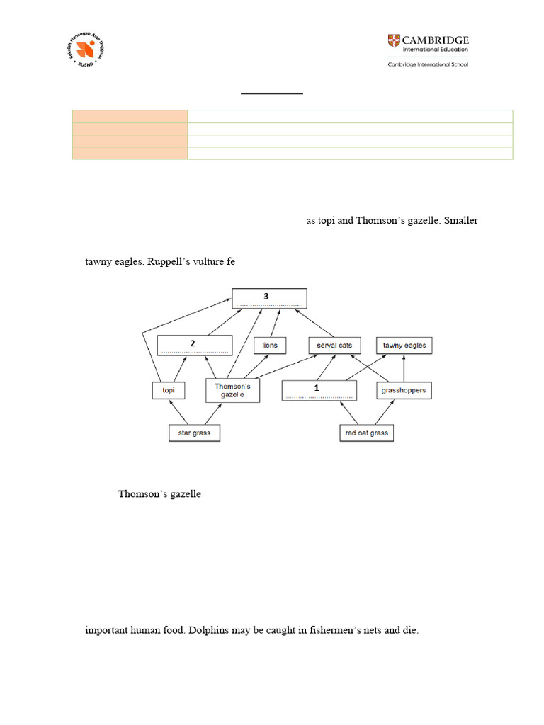 African Grassland Ecosystem Food Web | PDF | Food Web | Soil