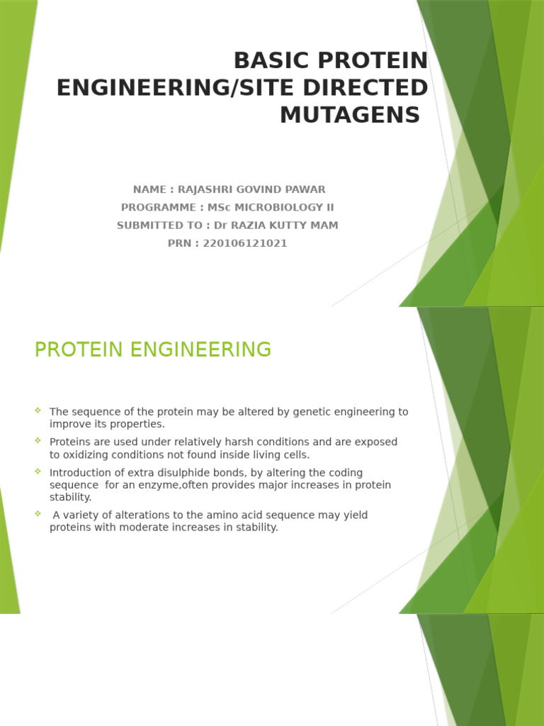 Protein Engineering and Stability Enhancements | PDF