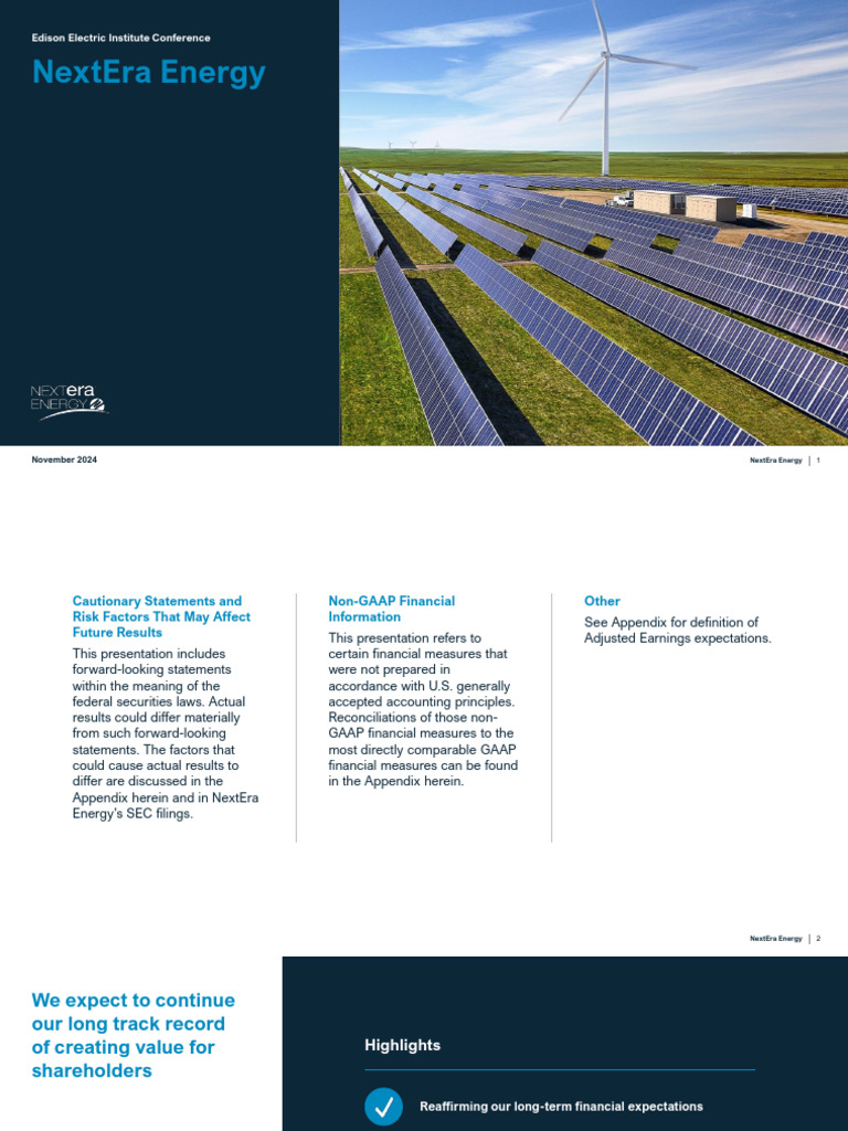 NextEra Energy: 2024 Financial Outlook | PDF | Renewable Energy | World Energy Resources