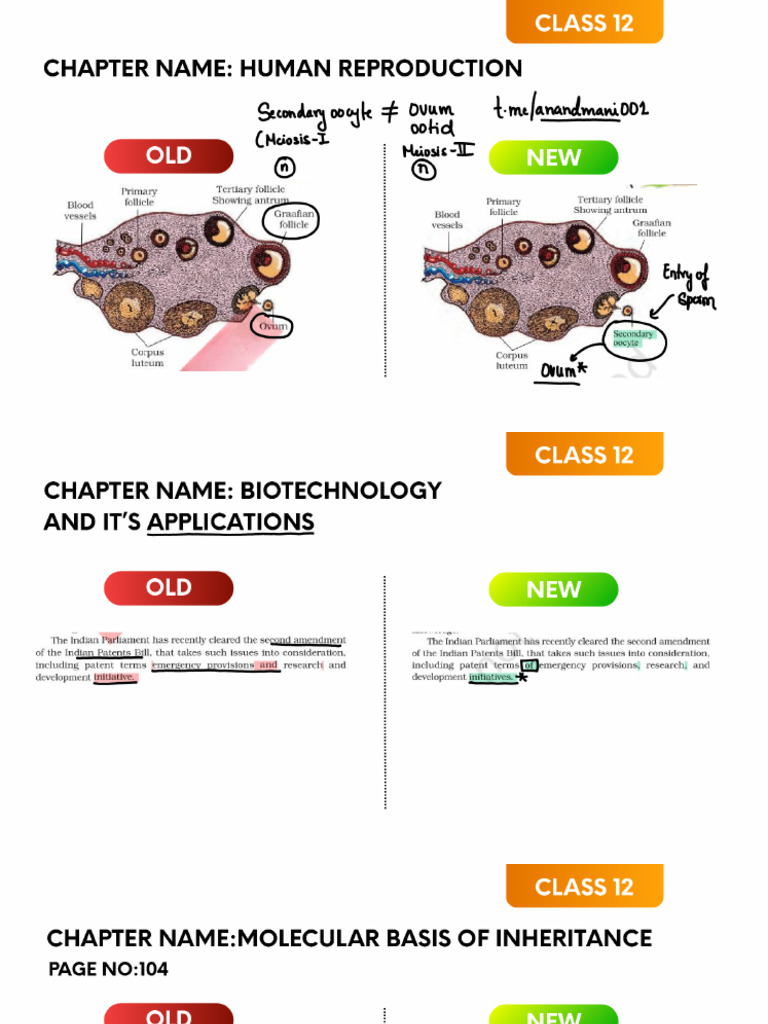 CC-108 - Aim 720 Cst-02a - 10-04-2025 | PDF