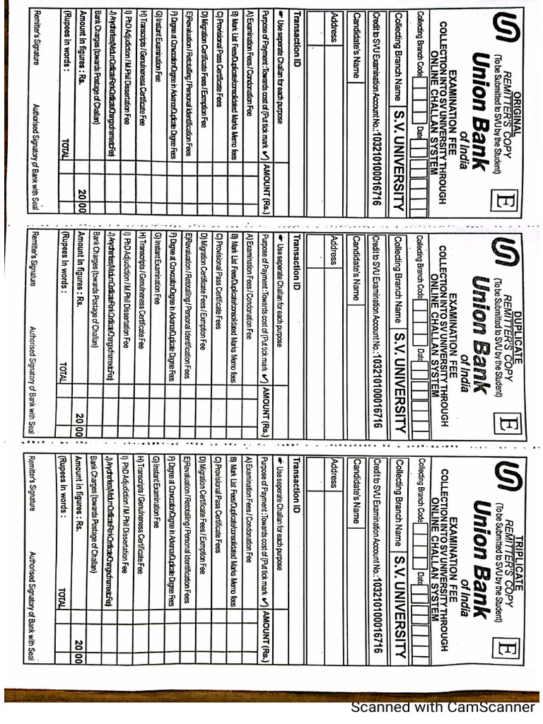 Challana S B I Union Bank | PDF