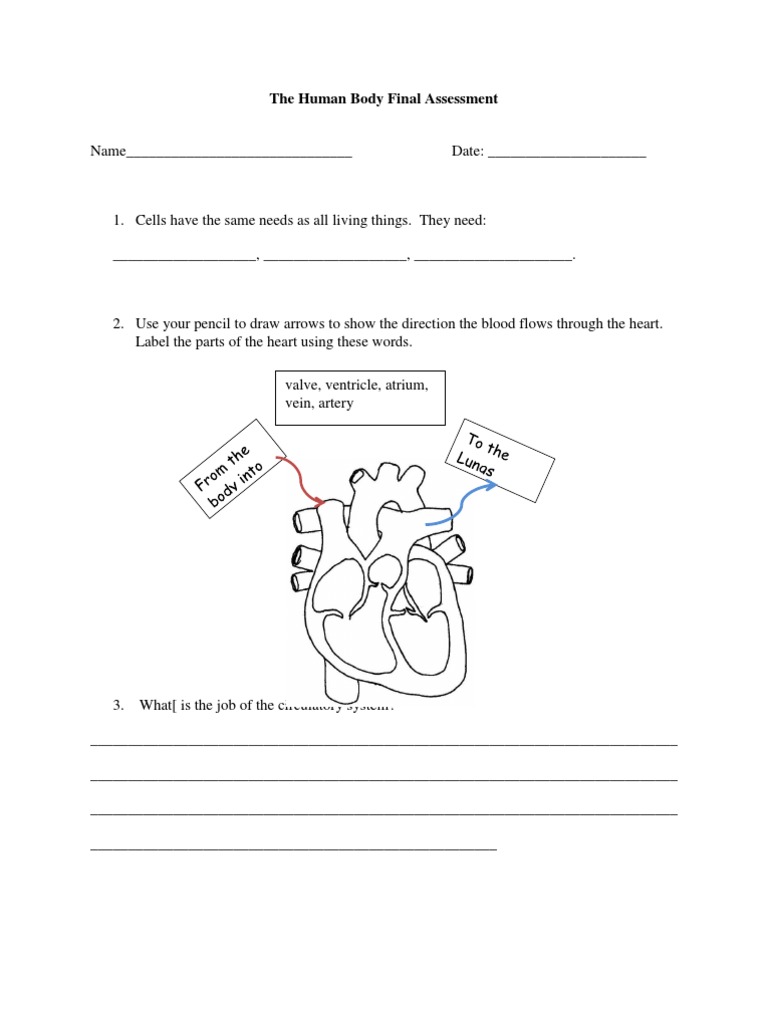 Human Body Adapted Assessment | PDF | Self-Improvement