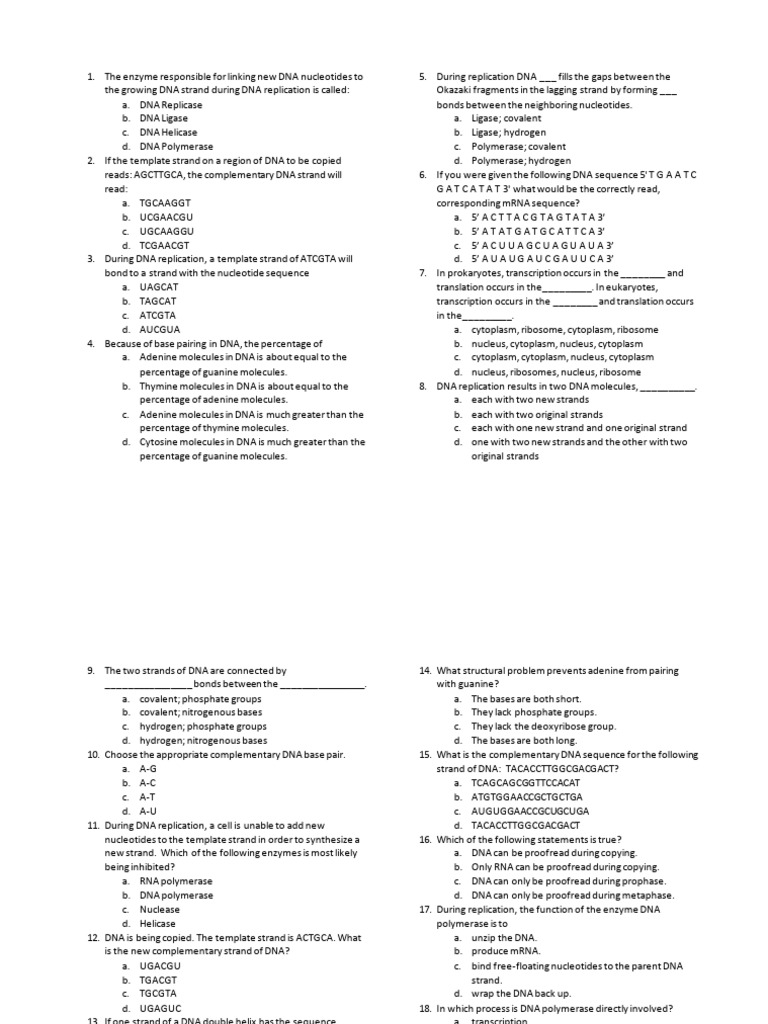 Unit 6 DNA and DNA Replication MCQ | PDF | Dna | Dna Replication