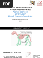 Anatomía Del Hueso Del Húmero Del Perro AnatomyLearner - El Lugar para ...