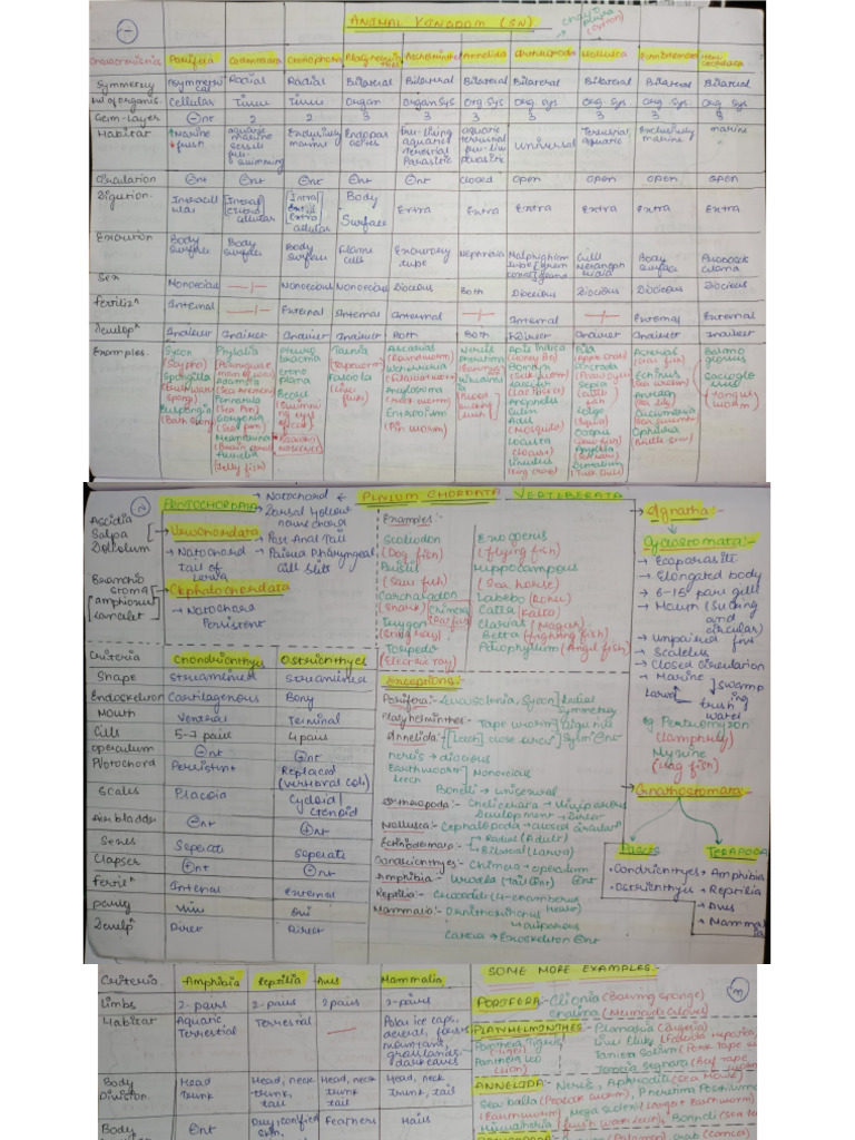 Sa Short Notes | PDF