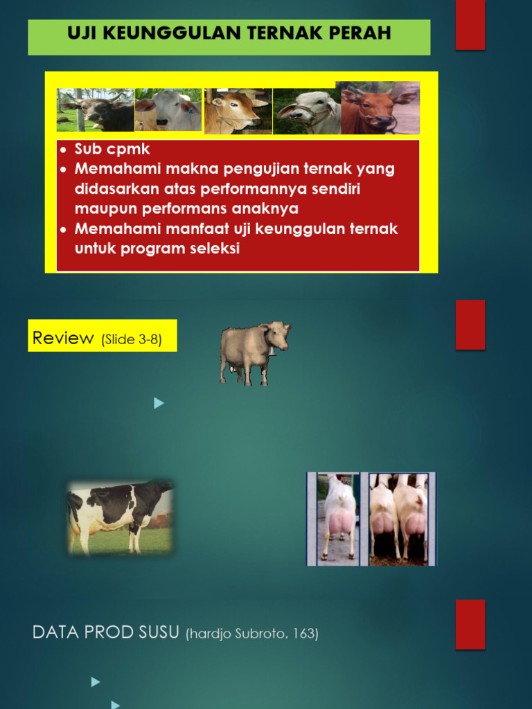 MGG - Vii. Uji Keunggulan Sapi Perah | PDF