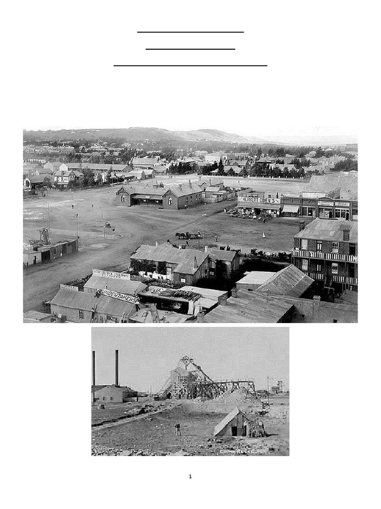 Gr8 - T2 - The Mineral Revolution - History Learner Booklet | PDF ...