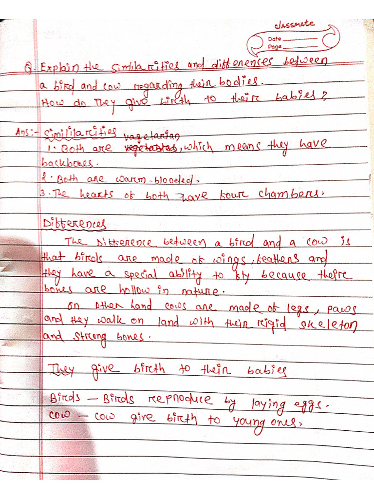 Revision-4-Evs-4 | PDF