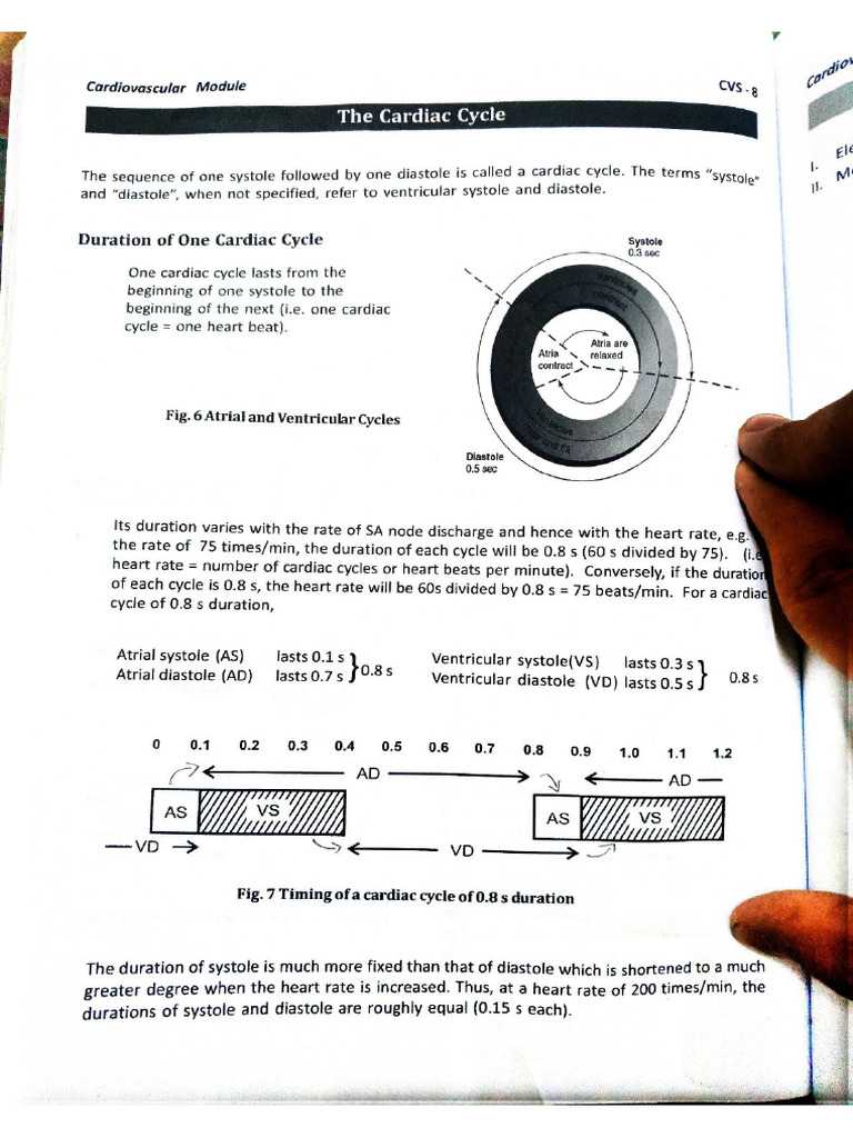 CVS Physiology - Cardiac Cycle - Electrical Event - Compress | PDF