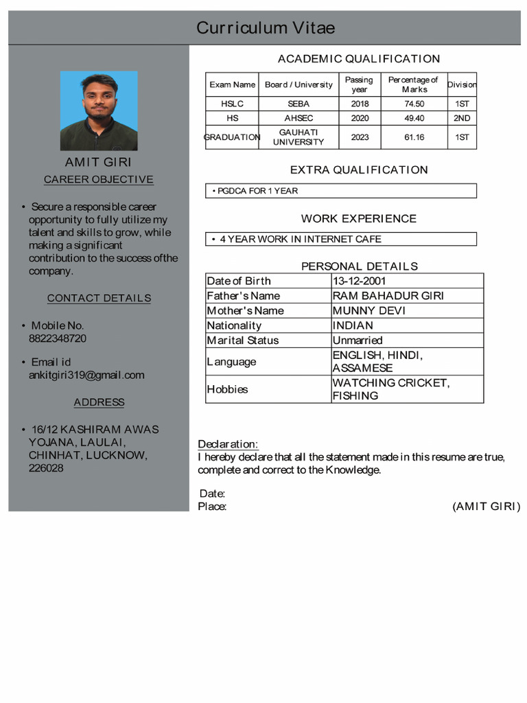 BIODATA AMIT GIRIdf | PDF