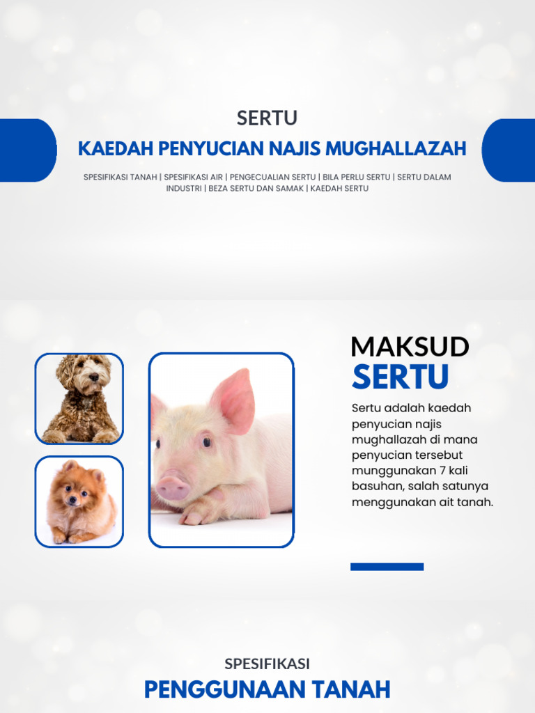 SERTU | PDF
