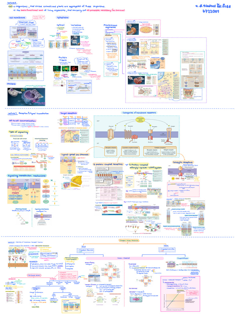 6722001 นางสาวกมลพร ธีระกำธร Assignment1 L8-L14 RAID135 | PDF