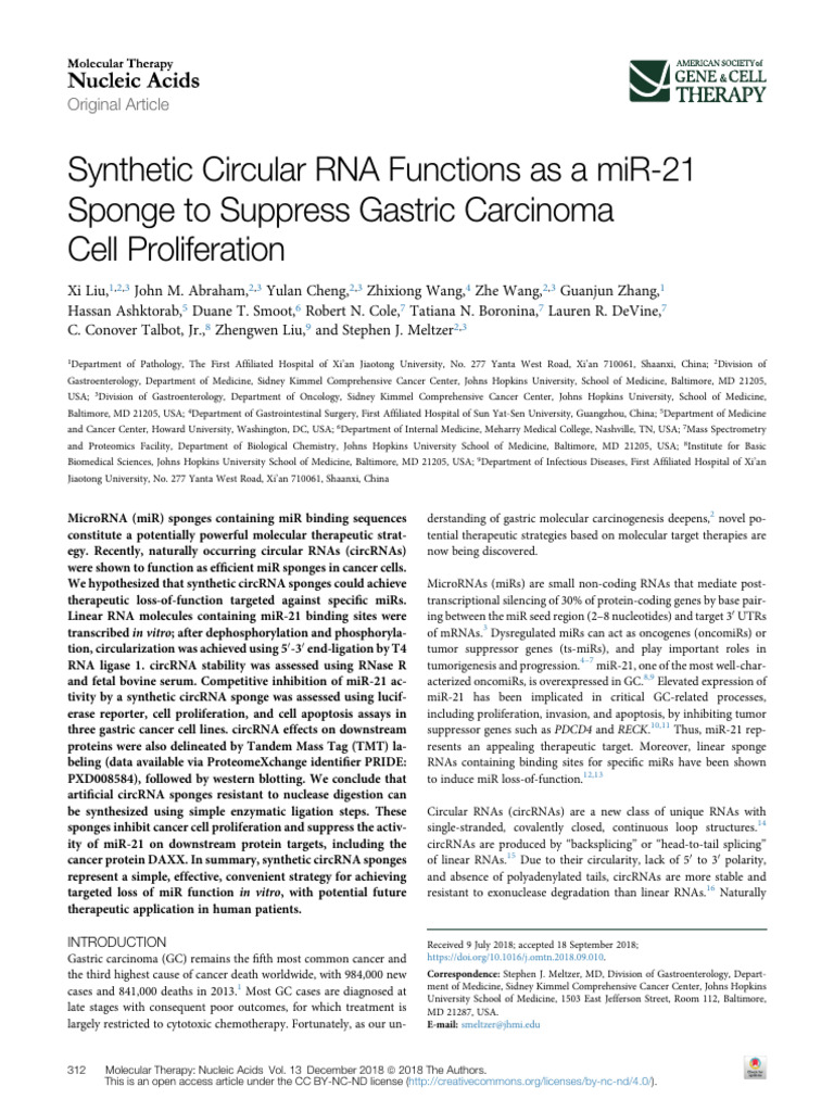 Synthetic Circular RNA Functions As A MiR 21 Sponge T 2018 Molecular ...