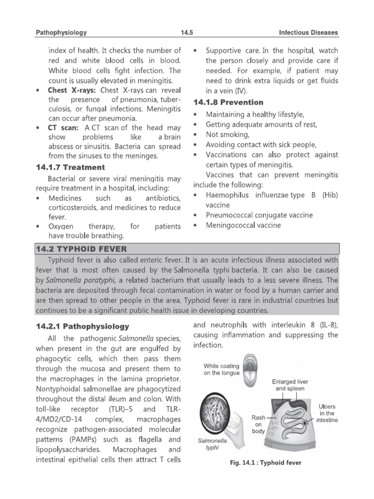 Typhoid | PDF