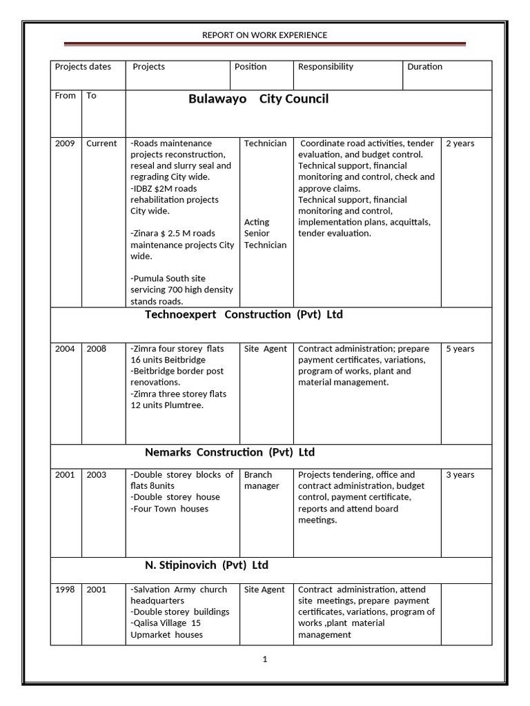 Comprehensive Work Experience Report | PDF
