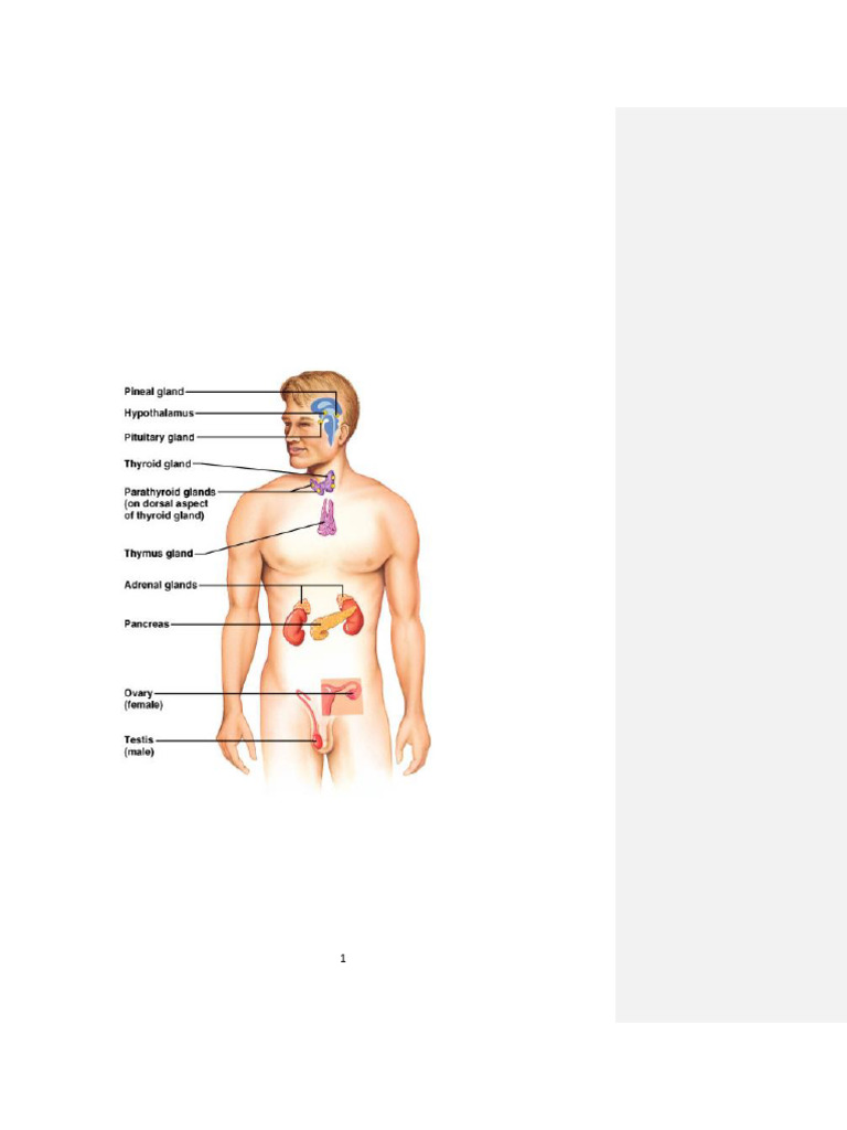 Endocrinology Lecture PDF | PDF | Thyroid Stimulating Hormone | Thyroid