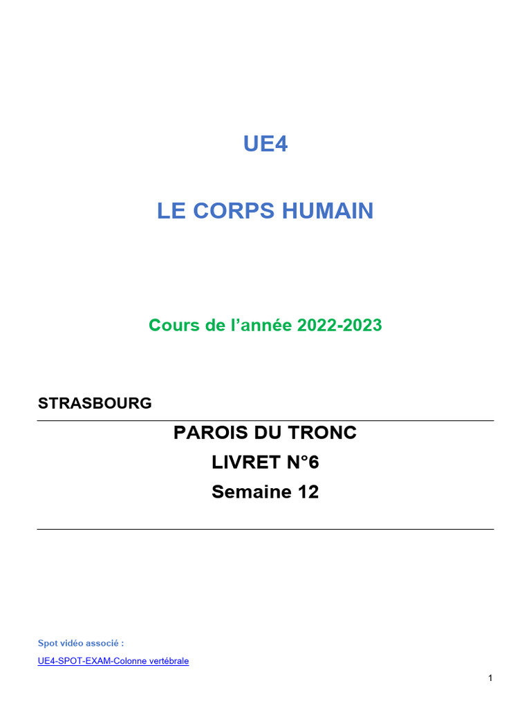 UE4 Parois Du Tronc | PDF | Vertèbre | Colonne vertébrale