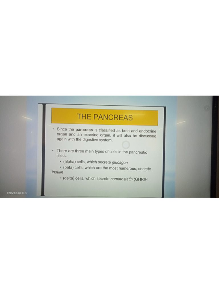 Endocrine System Part 2 | PDF