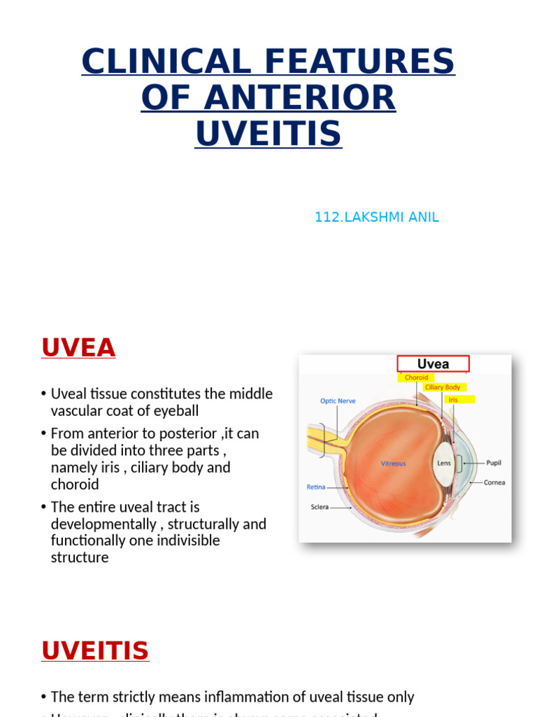 Clinical Features of Anterior Uveitis Lakshmi | PDF | Human Eye | Eye