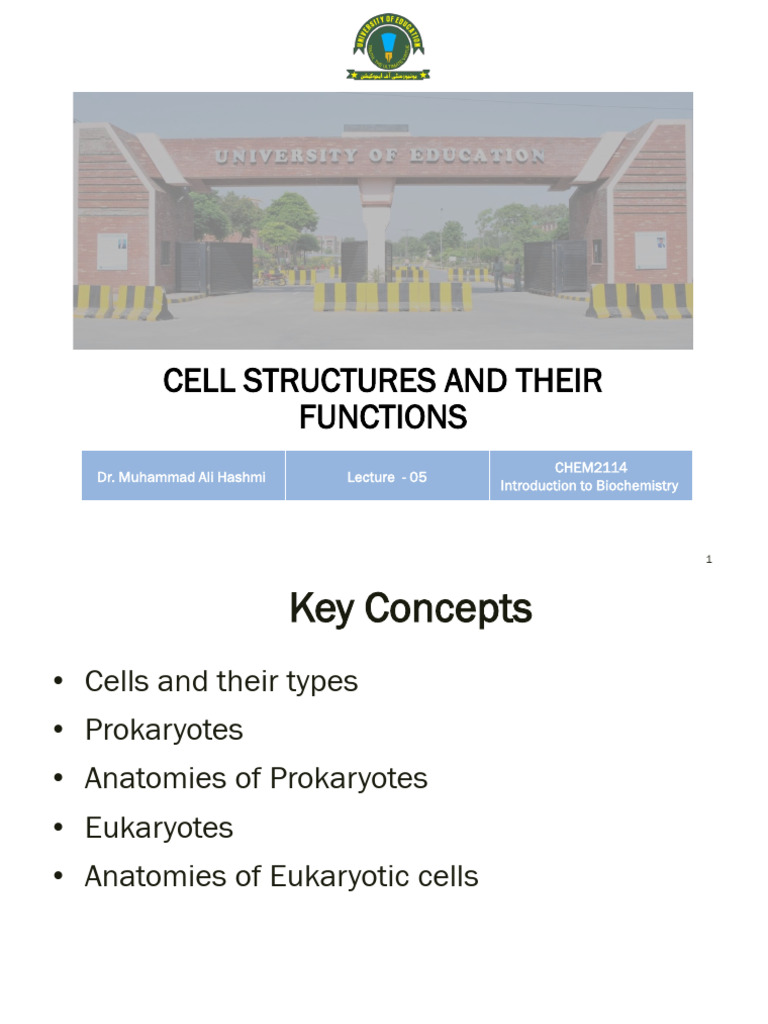 02. Cell-Structures-and-their-Functions | PDF | Prokaryote | Cell (Biology)