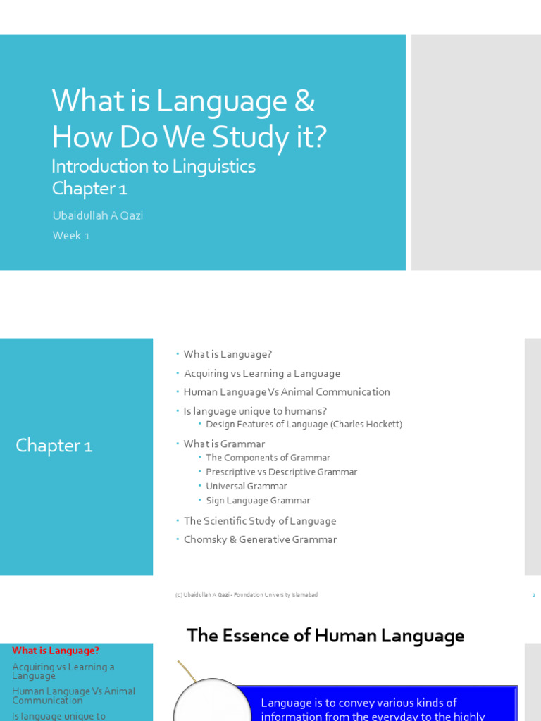 What Is Language + Origin of Language + How Do We Study It | PDF ...