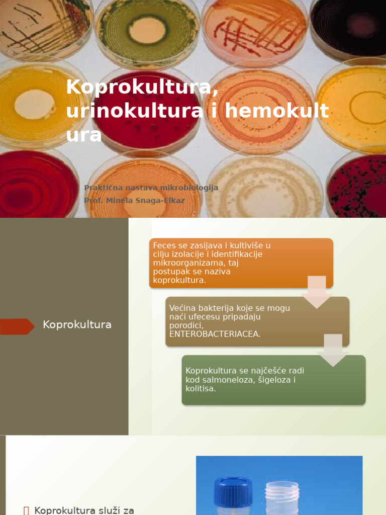 Kopro, Urino I Hemokult. | PDF