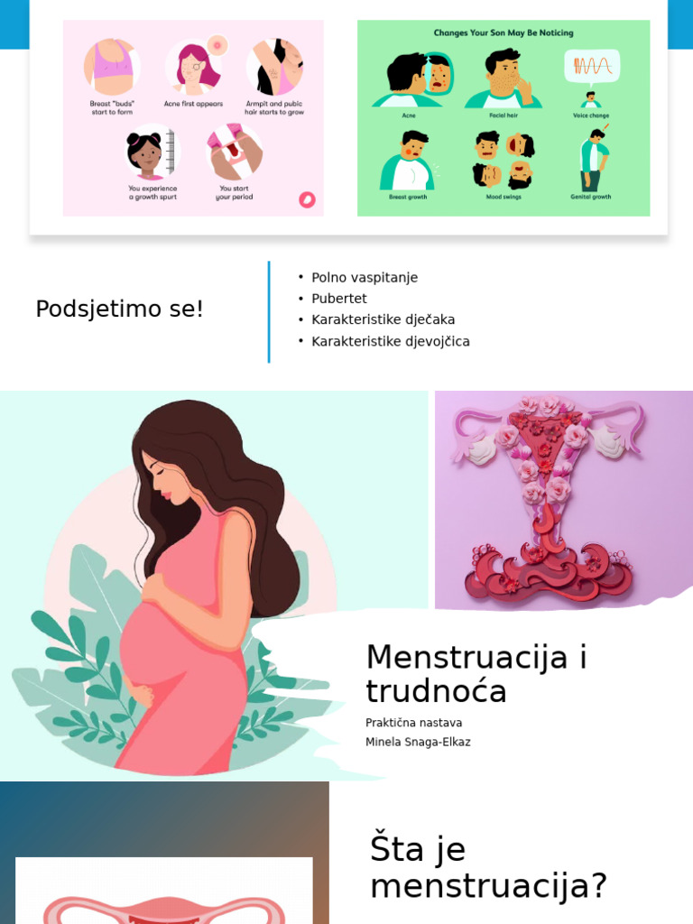 Menstruacija I Trudnoća 1 | PDF