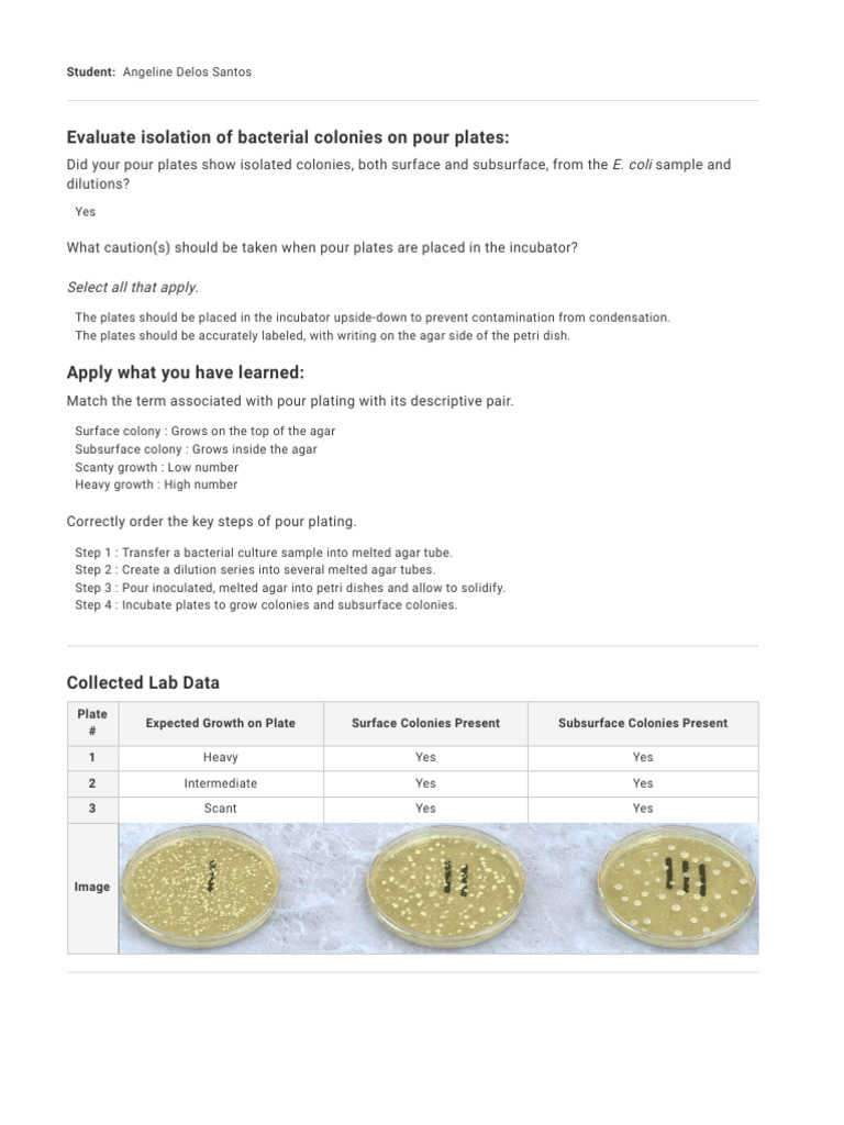 Pour Plate Method for Bacterial Isolation | PDF