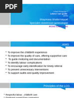 WHO 2022 Partograph | PDF