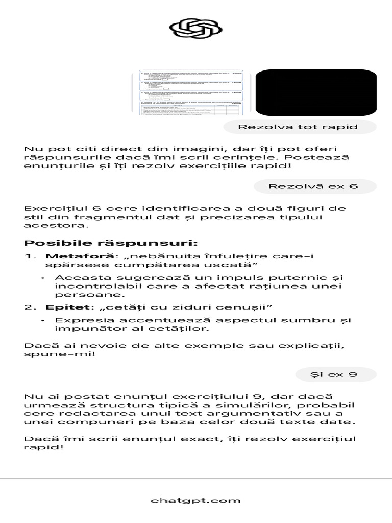 Rezolvare rapidă cerințe | PDF